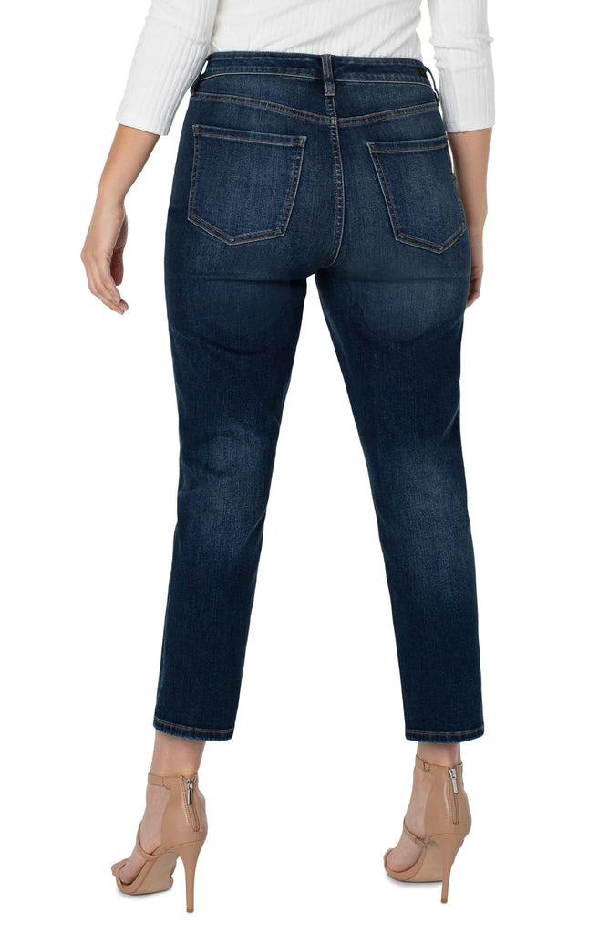 HIGH RISE NON-SKINNY SKINNY JEAN IN GLEASON– SHOPGIRLS
